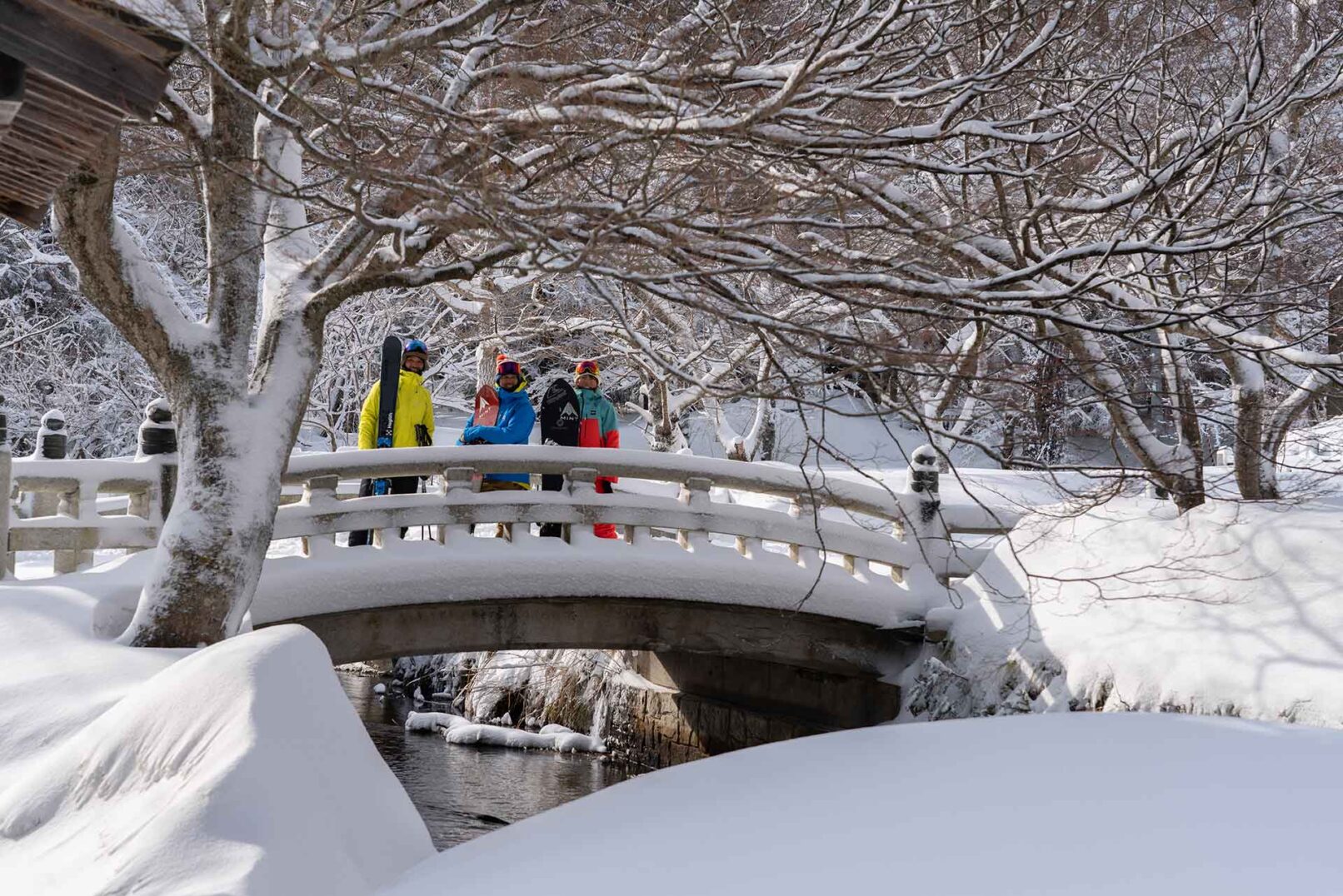 The Aizu Advantage - AIZU SKI JAPAN